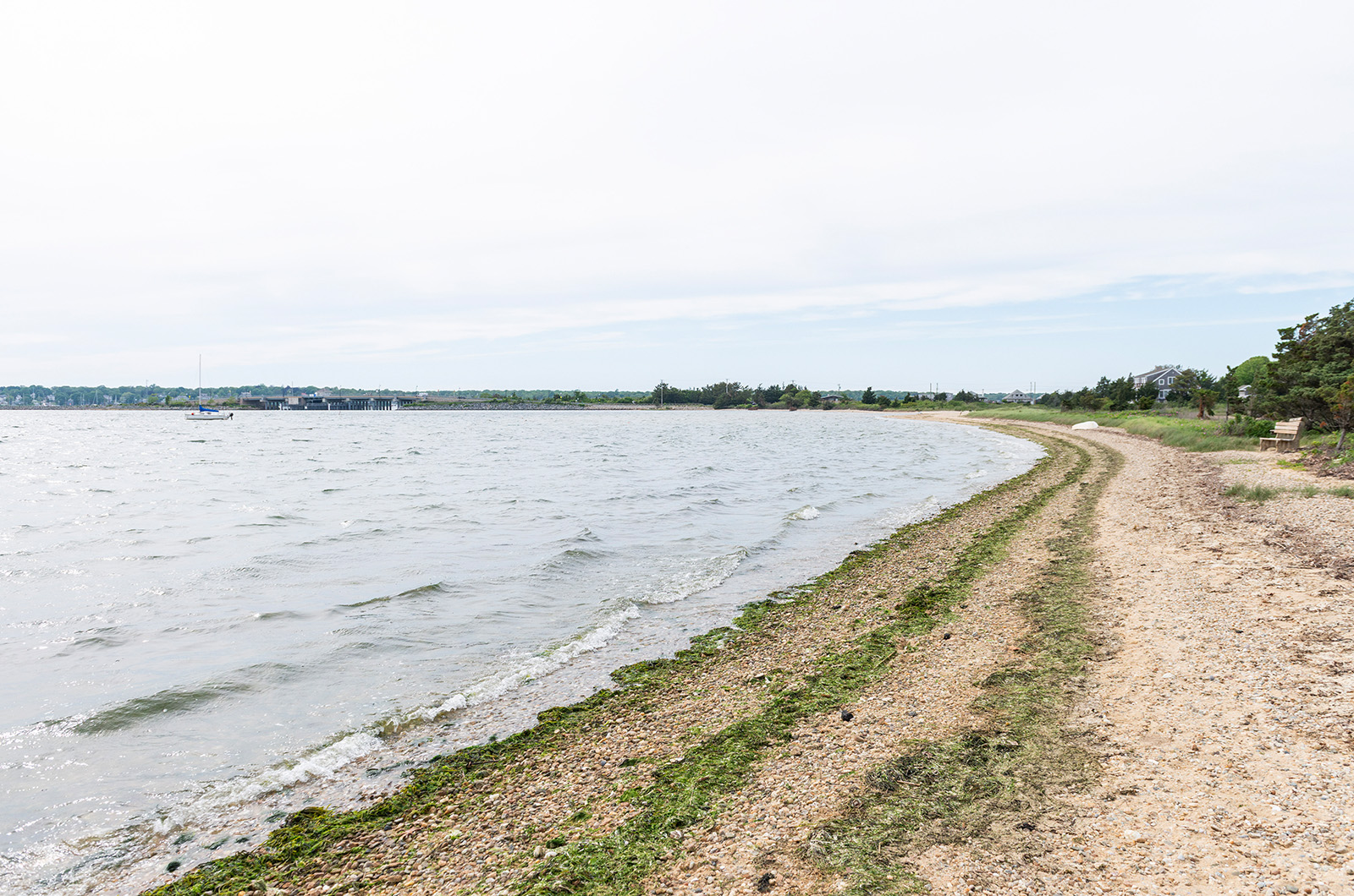 The Vineyard Gazette - Martha's Vineyard News | Concerns Arise Over ...