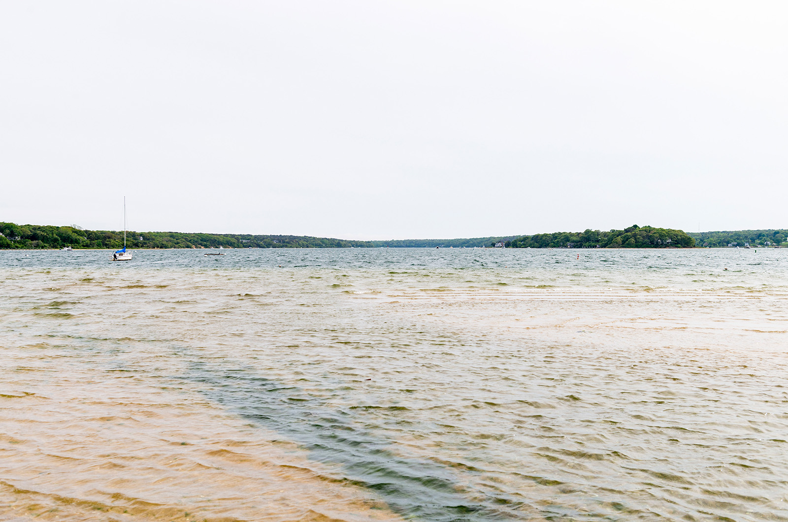 The Vineyard Gazette - Martha's Vineyard News | Concerns Arise Over ...