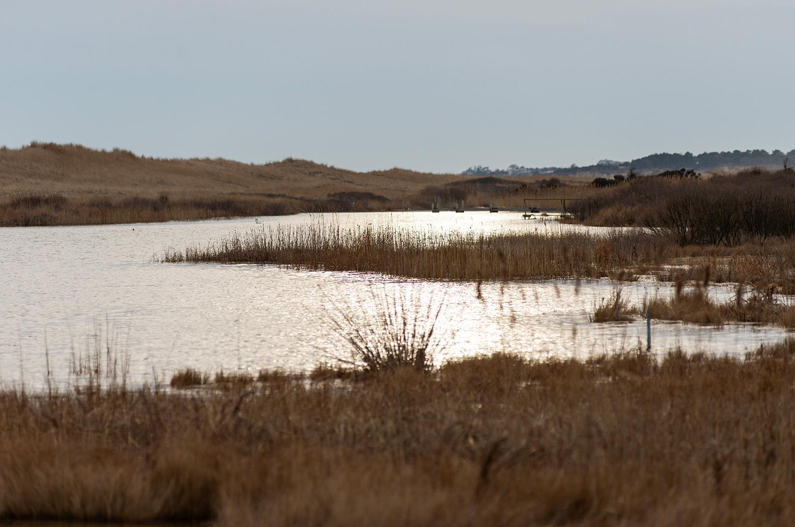 The Vineyard Gazette - Martha's Vineyard News | From Forest Lake to ...