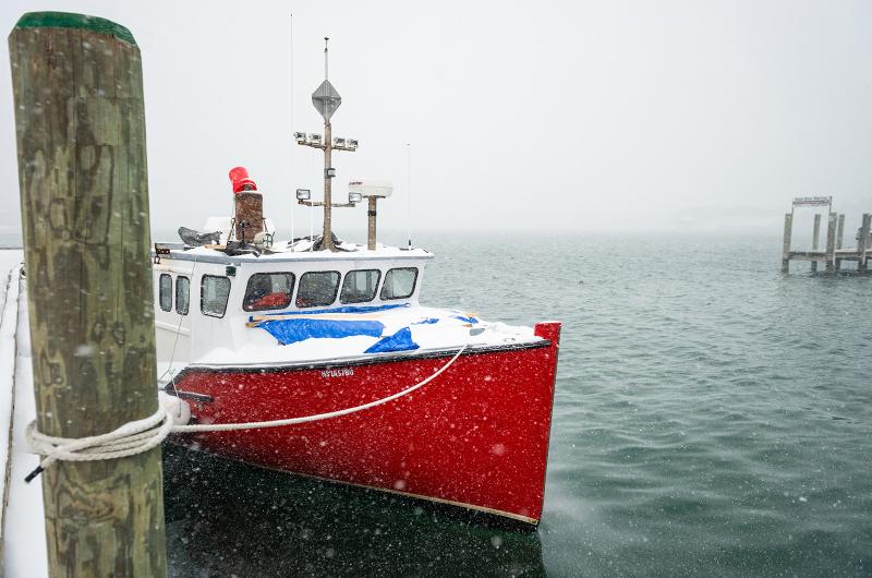The Vineyard Gazette - Martha's Vineyard News | Winter Storm Drops ...